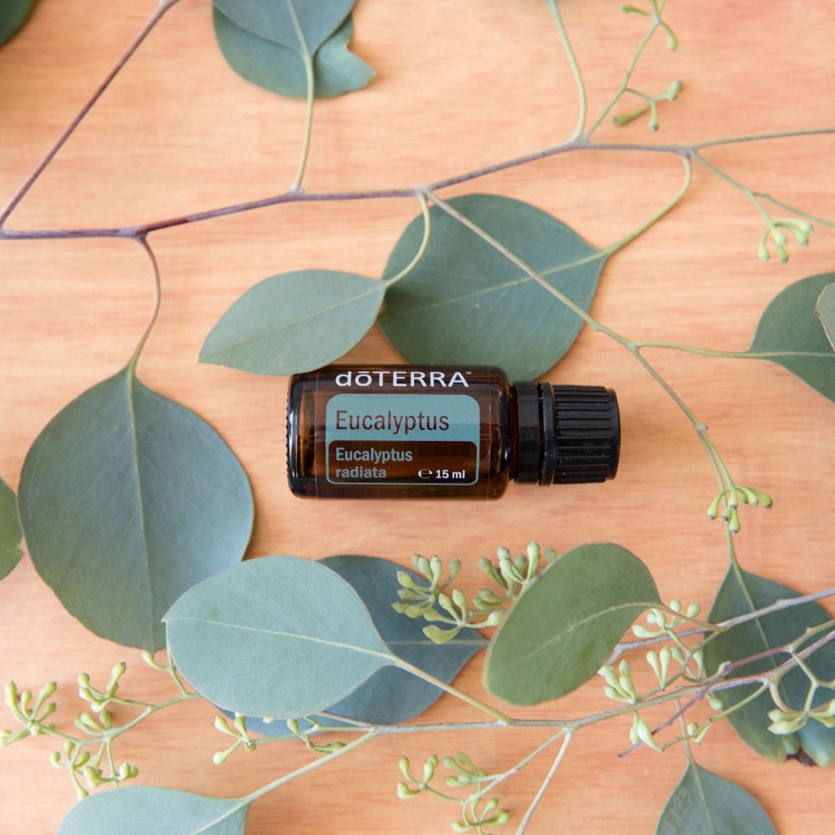 Olejek z Eukaliptusa dōTERRA | Eucalyptus Essential Oil 15ml